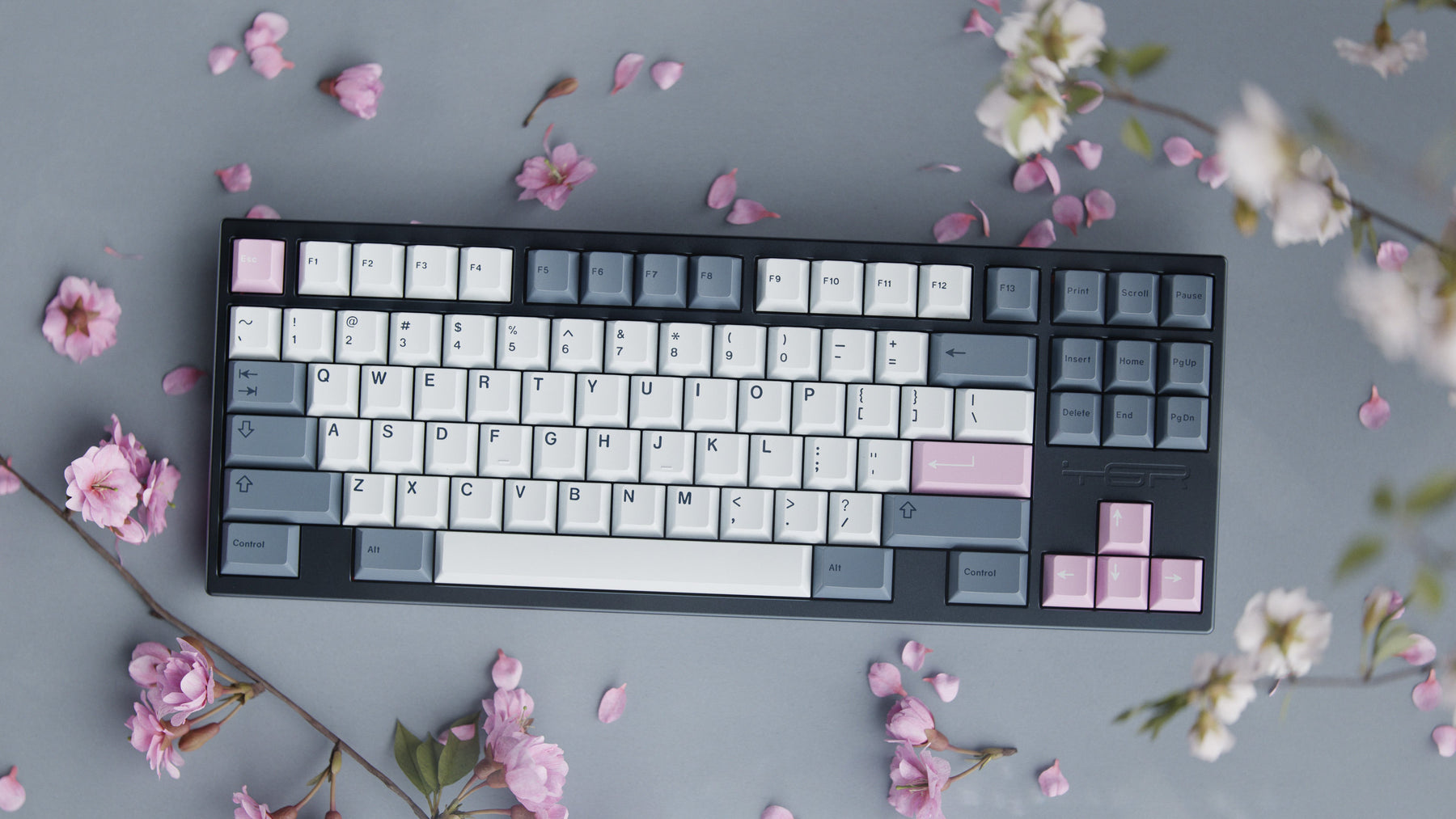 [In Stock] GMK Fuji